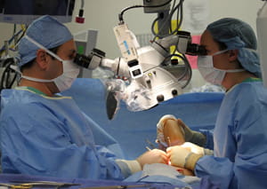 Reconstructive Microsurgery | Denver Health